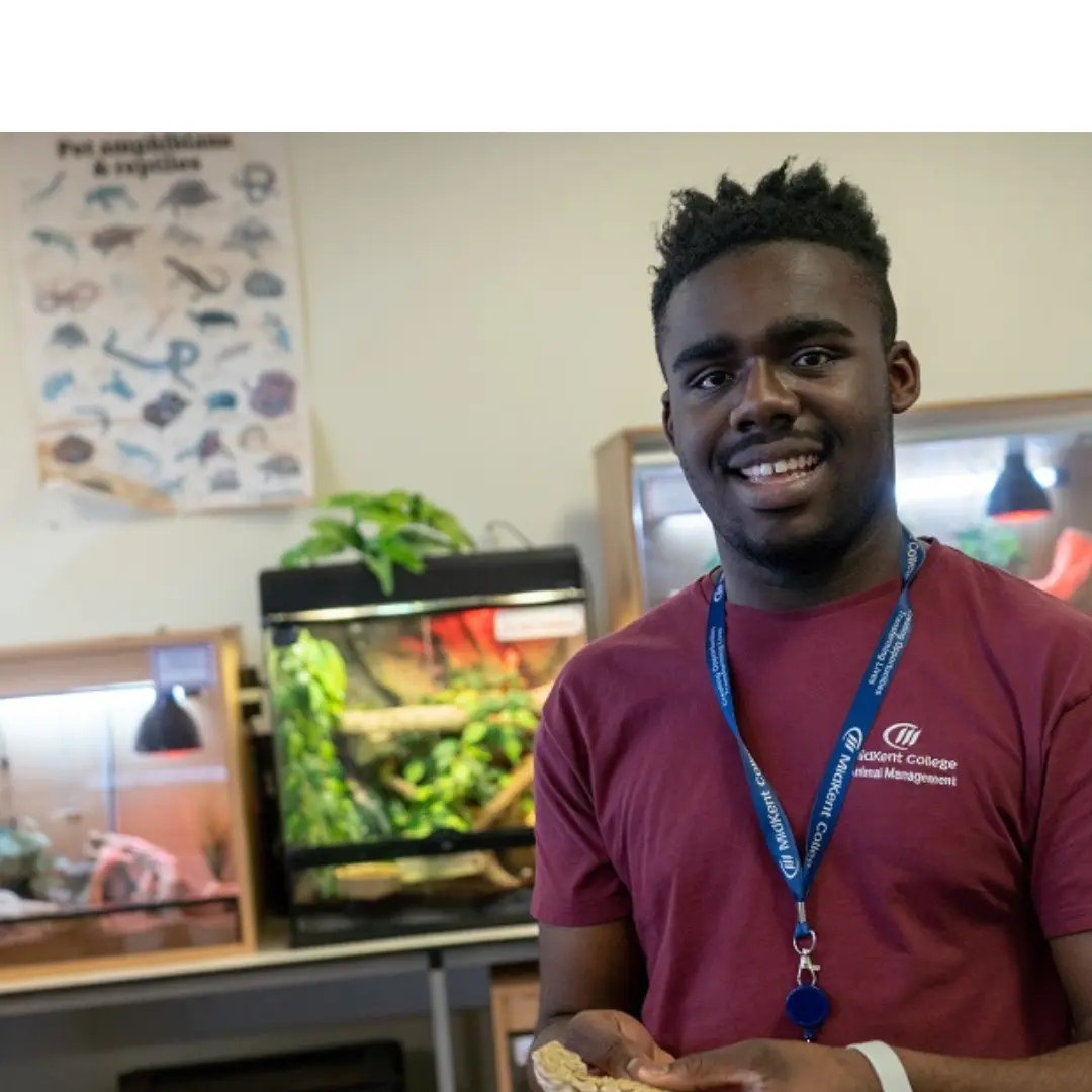 Level 2 in Animal Care | MidKent College